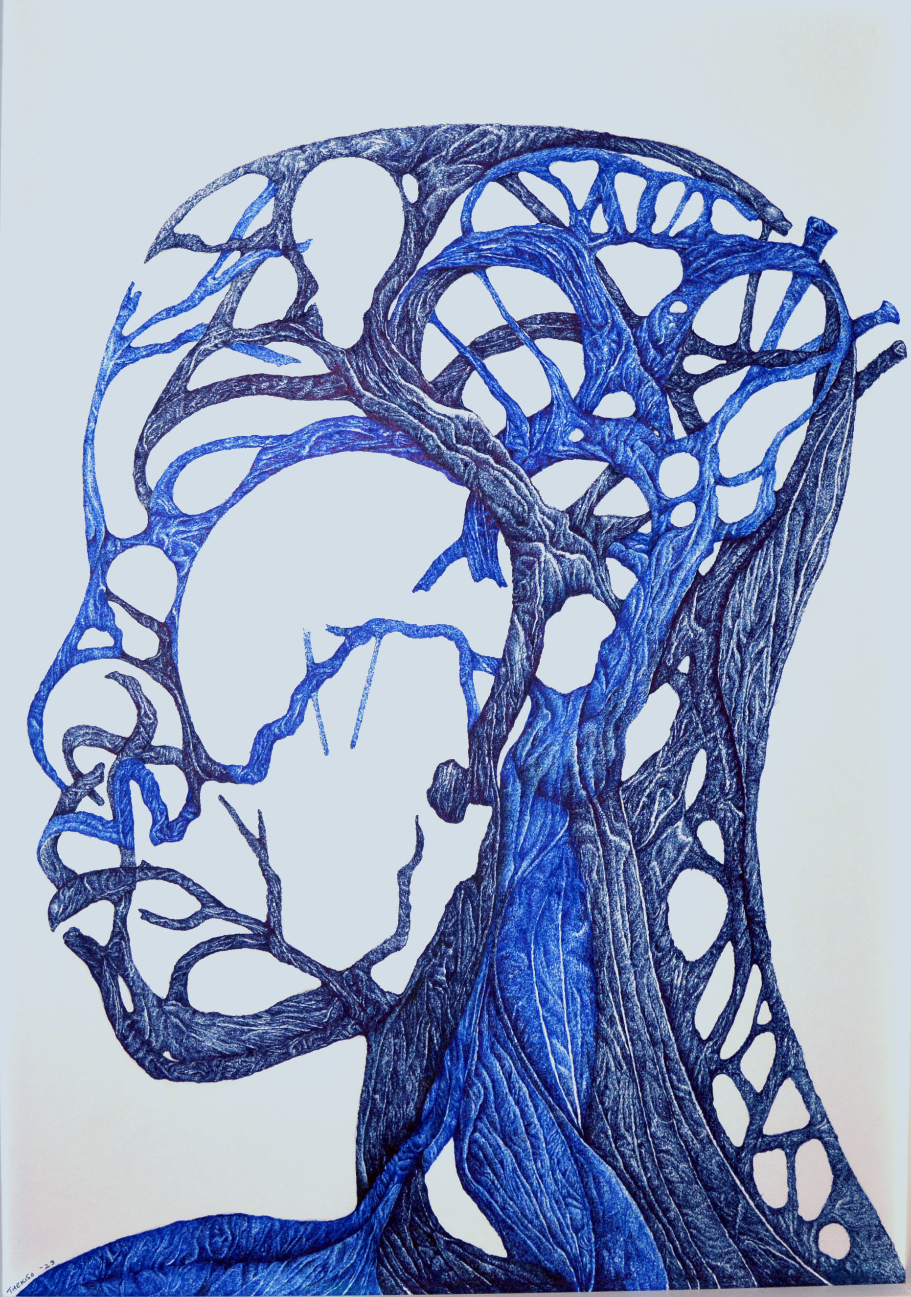 Winston Thekiso Gallery